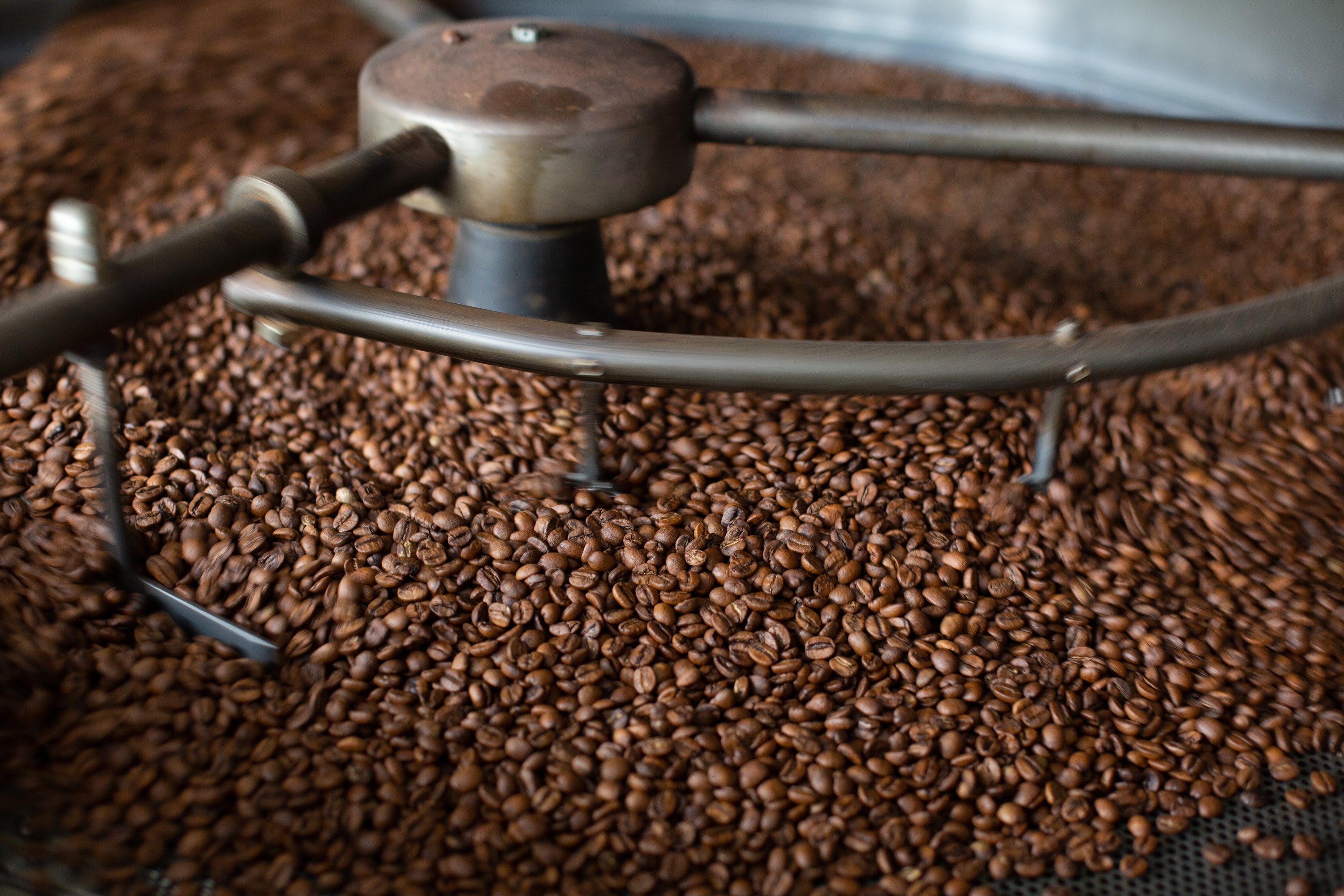 Ark Coffee - Specialty roasted coffee in Auckland